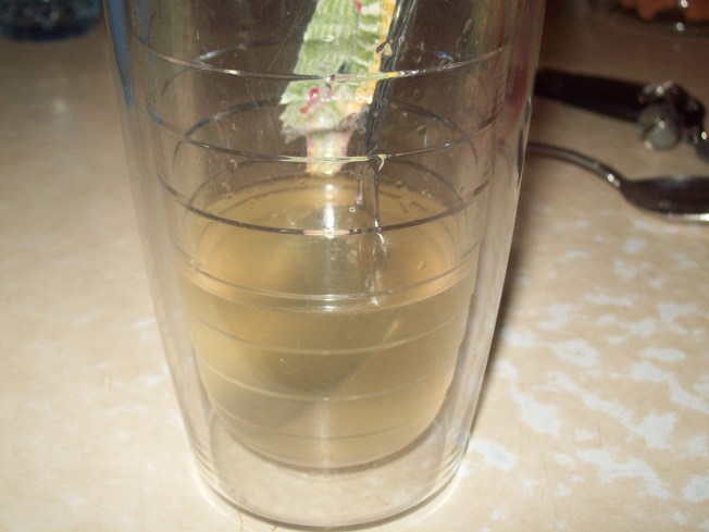 Food 101: How To Make A Glass of Lemonade | The Poor Couple's Food Guide
